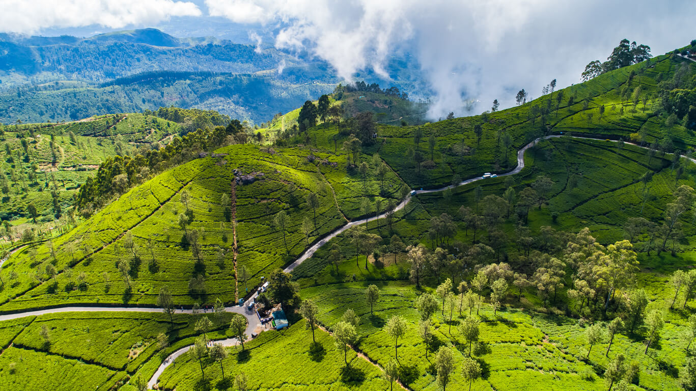 Sri Lanka: Temperatura Del Agua Del Mar Hoy Y Pronósticos ...